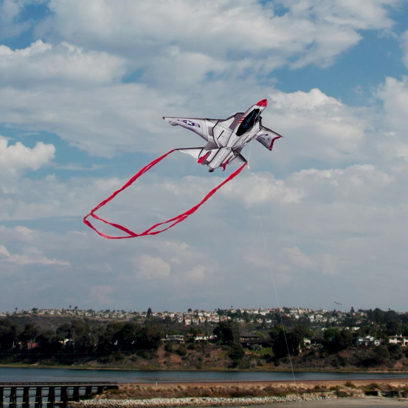 WindNSun SuperSized Fighter Jet Nylon Kite w/ 3D Cockpit, 57 Inches Wi ...
