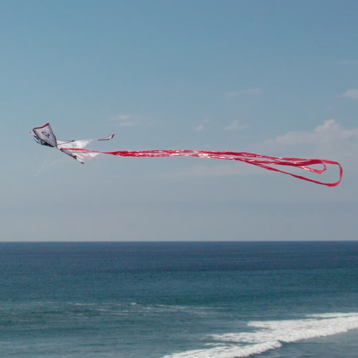 WindNSun SuperSized Fighter Jet Nylon Kite w/ 3D Cockpit, 57 Inches Wi ...