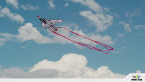 WindNSun SuperSized Fighter Jet Nylon Kite w/ 3D Cockpit, 57 Inches Wi ...